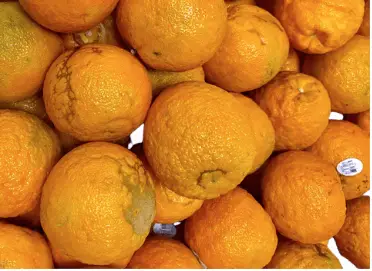 Lechón Asado (Cuban Roast Pork With Crispy Skin) - The American Cuban Table