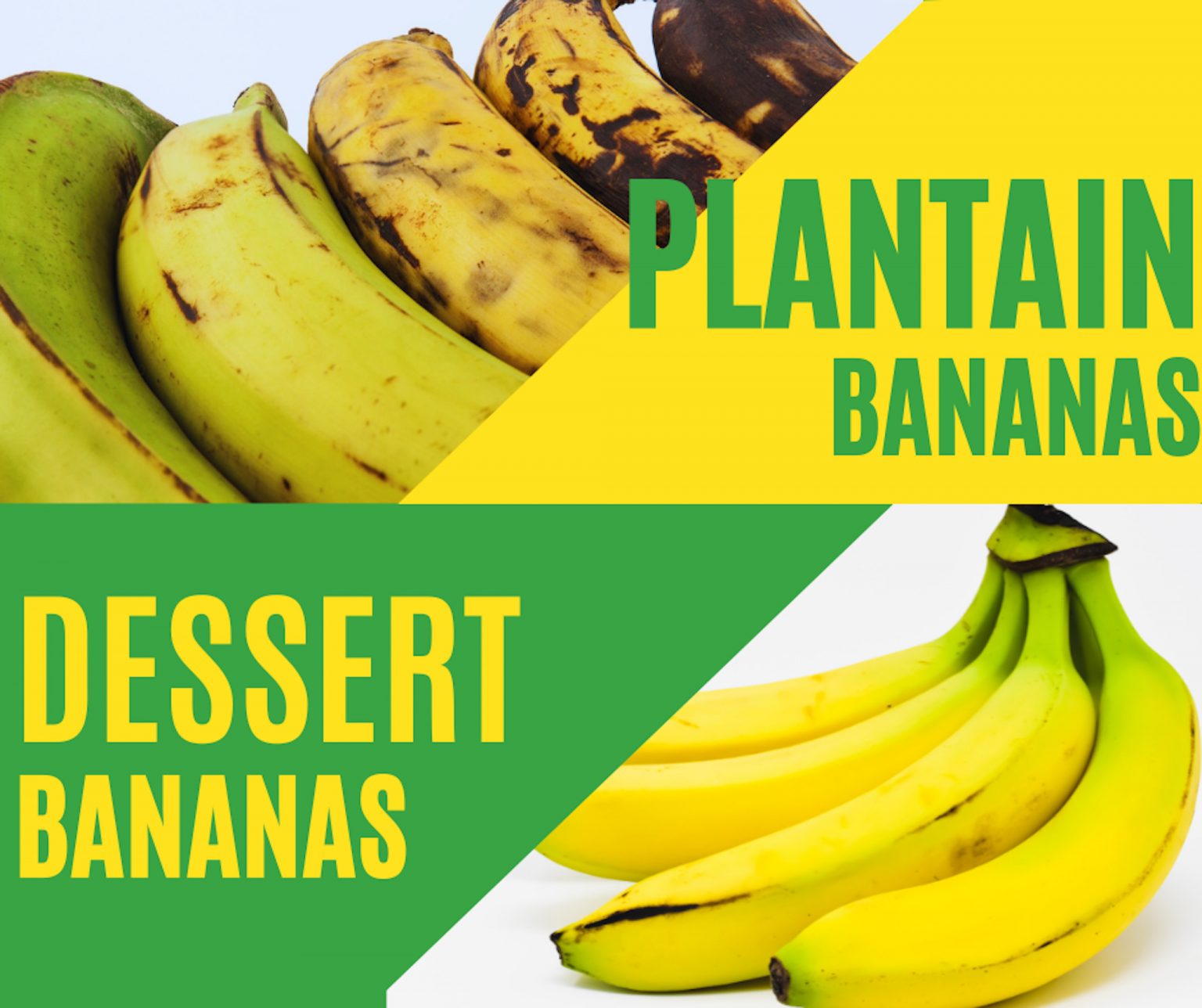 What Is A Plantain Banana? - The American Cuban Table
