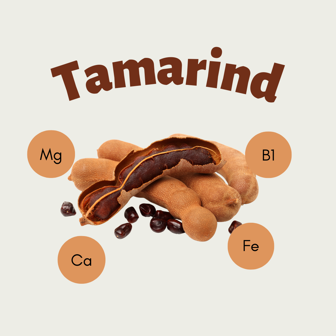 Exploring Tamarind: What Is It Exactly? - The American Cuban Table