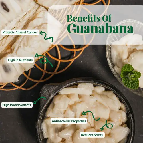 What Is Guanabana And Its Benefits? - The American Cuban Table