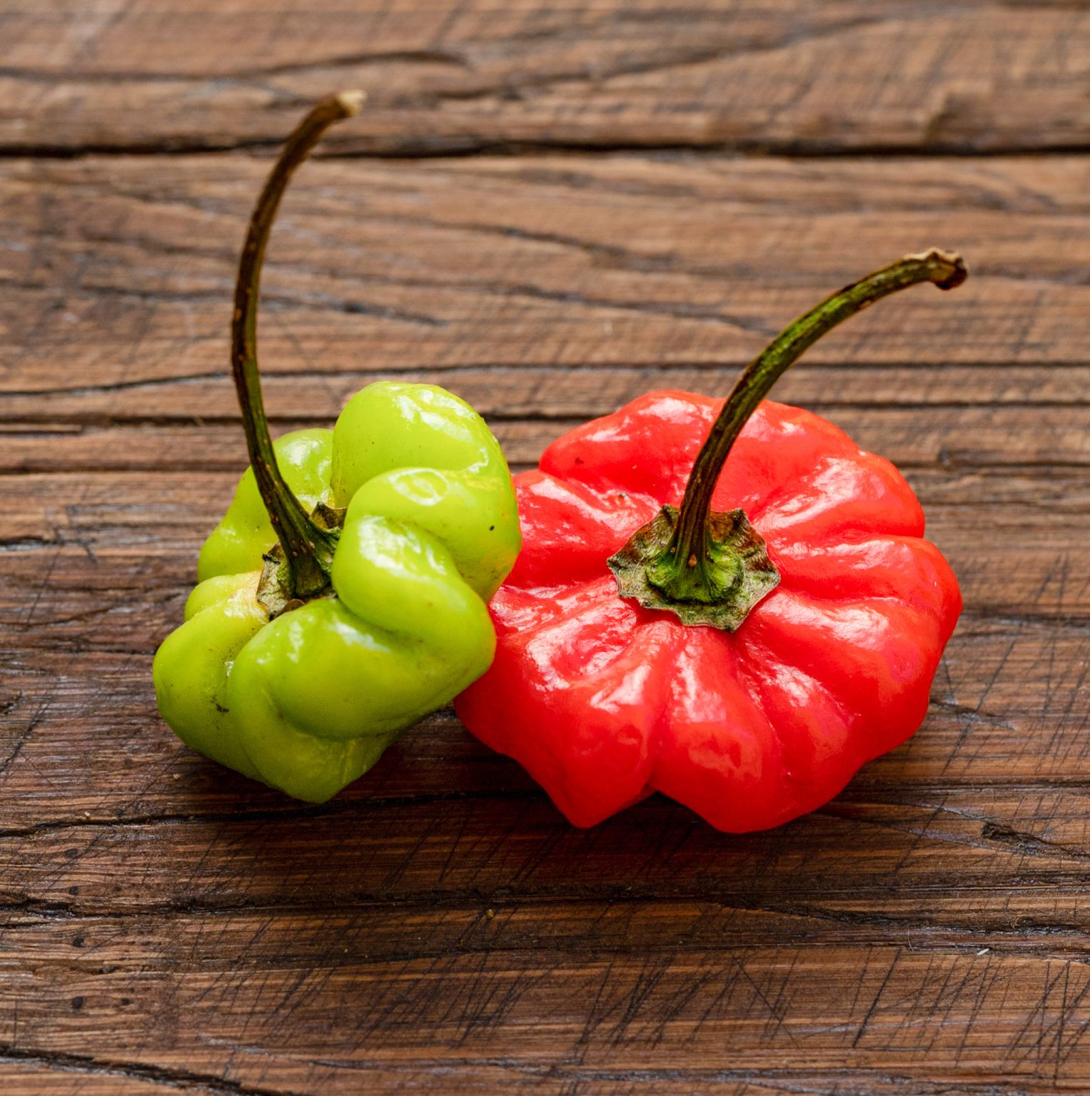 What Is Ají Cachucha (Ají Dulce) Pepper? - The American Cuban Table