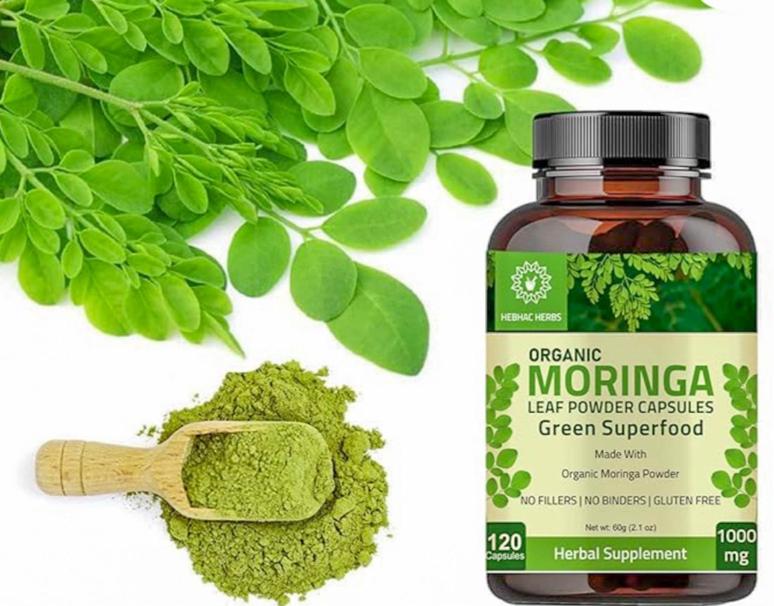 What Is Moringa Oleifera? Everything You Need to Know - The American ...